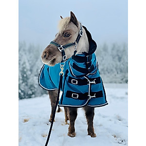 Star Point Horsemanship Mini-Pony Horse Ripstop Waterproof Windproof Blanket Hooded Lightweight Turnout Rain Sheet Breathable Lining 1200 Denier Material 220 Fill (46-48", Teal)