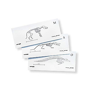 Lab-Aids Evolution: Examining Fossil and DNA Evidence (Developed by SEPUP) Kit 903S