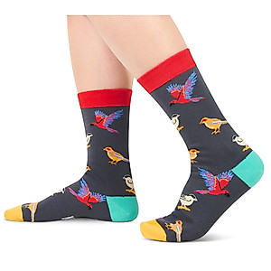 HAPPYPOP Funny Socks for Men Teens - Bird Gifts for Women, Birder Gifts Bird Socks Bird Stocking