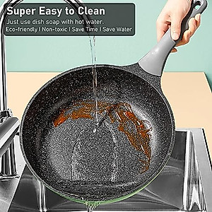 COOKER KING Nonstick Frying Pan with Lid-11Inch Nonstick Skillet Healthy Cookware, PFOA Free Granite Coating | Cooking Pan with Heat-Resistant Handle-Induction Compatible