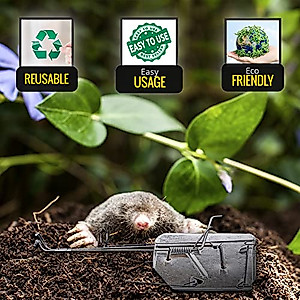 Cinch Mole Trap with Tunnel Marking Flag -Heavy-Duty, Reusable Trapping System | Lawn, Garden, and Outdoor Use | Weather Resistant Steel (Small - Mole Kit)