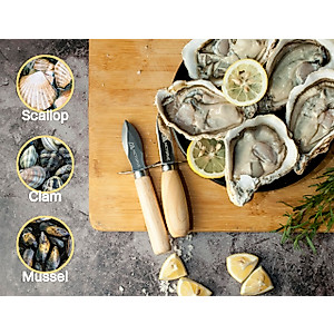 MCTGRVE Oyster Shucking Knife and Glove Set -Oyster Shucker Kit with 2pcs Oyster Knife 1pair of Level5 Protection Gloves 1pc Kitchen Cloth-Seafood Opener Tools in a Storage Bag (black) Great Gifts