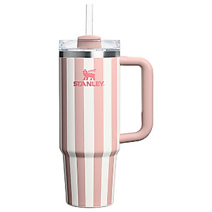 Stanley Quencher H2.0 Tumbler with Handle and Straw 30 oz | Flowstate 3-Position Lid | Cup Holder Compatible for Travel | Insulated Stainless Steel Cup | BPA-Free | Peach Whip Cabana Gloss