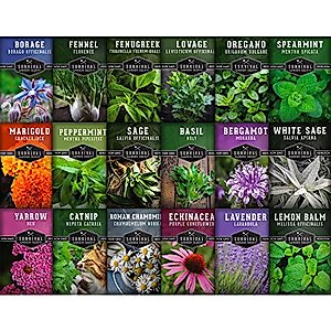 18 Medicinal Herb Seed Packets to Plant & Grow - Assortment of Beneficial Plant for Herbal Teas & Medicinal Uses - Non-GMO Heirloom Varieties - Survival Garden Seeds