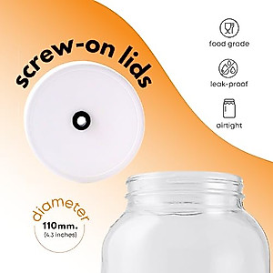 FastRack One gallon Wide Mouth Jar with Drilled Lid & Twin Bubble Airlock-Set of 2, multicolor