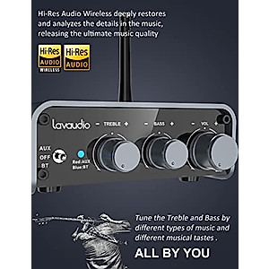 Lavaudio DS300 Bluetooth 5.1 Amplifier Receiver Home Stereo System Components - Mini Hi-Fi Class D Integrated Amp 2 Channel 100W×2 for Home Theater Audio