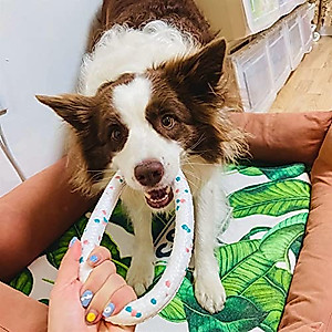 QBIYA Dog Toy Fly Ring, Dog Chew Toys, Dog Ring Toy, Tug of War Dog Toy, Dog Training Ring Fitness Tool, Fun Dog Toys, Interactive Travel Pet Toys, for Small/Medium Dog Training Ring