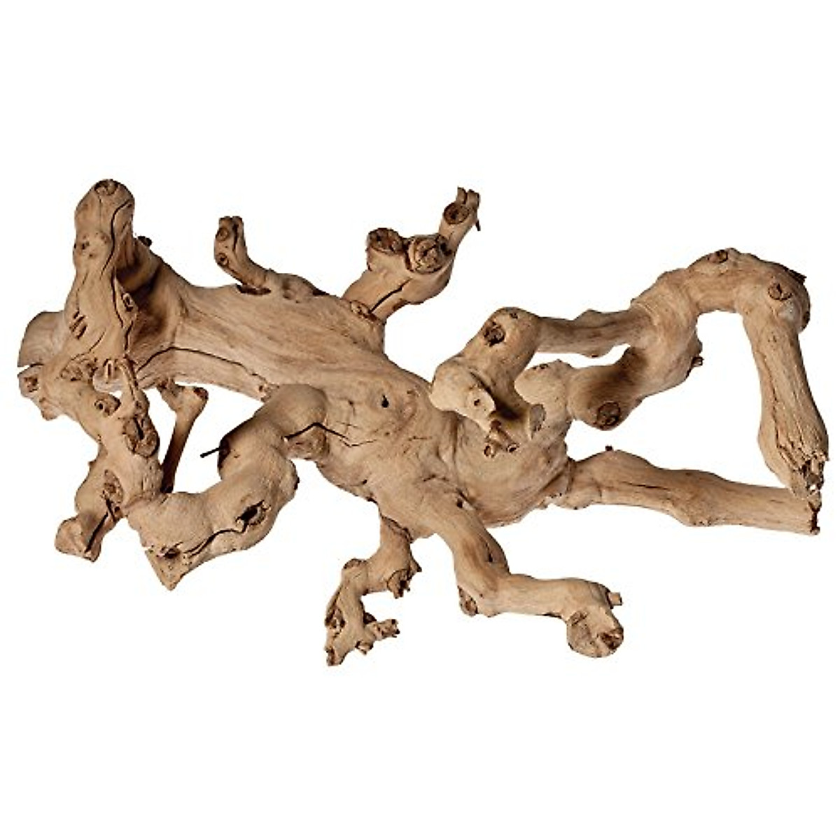 Pisces 18" Grapewood Sandblasted Branchy, Varies