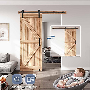 EaseLife 5 FT Sliding Barn Door Track and Handle Hardware Kit,Heavy Duty,Straight Pulley,Slide Smoothly Quietly,Easy Install (5FT Track Kit for 24"~30" Wide Single Door)
