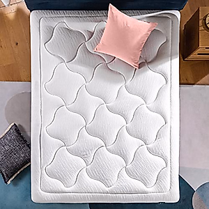 ZINUS 12 Inch Cloud Memory Foam Mattress / Pressure Relieving / Bed-in-a-Box / CertiPUR-US Certified, Queen