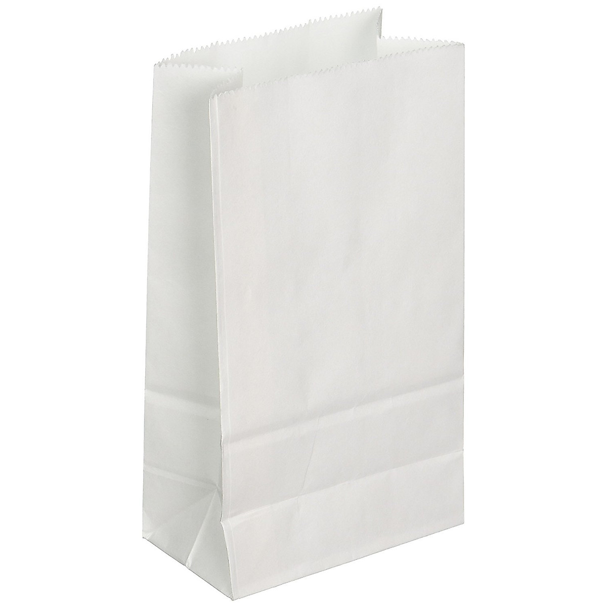 6lb White Rainbow Paper Bags 500 Count (5 x 100 Packs)