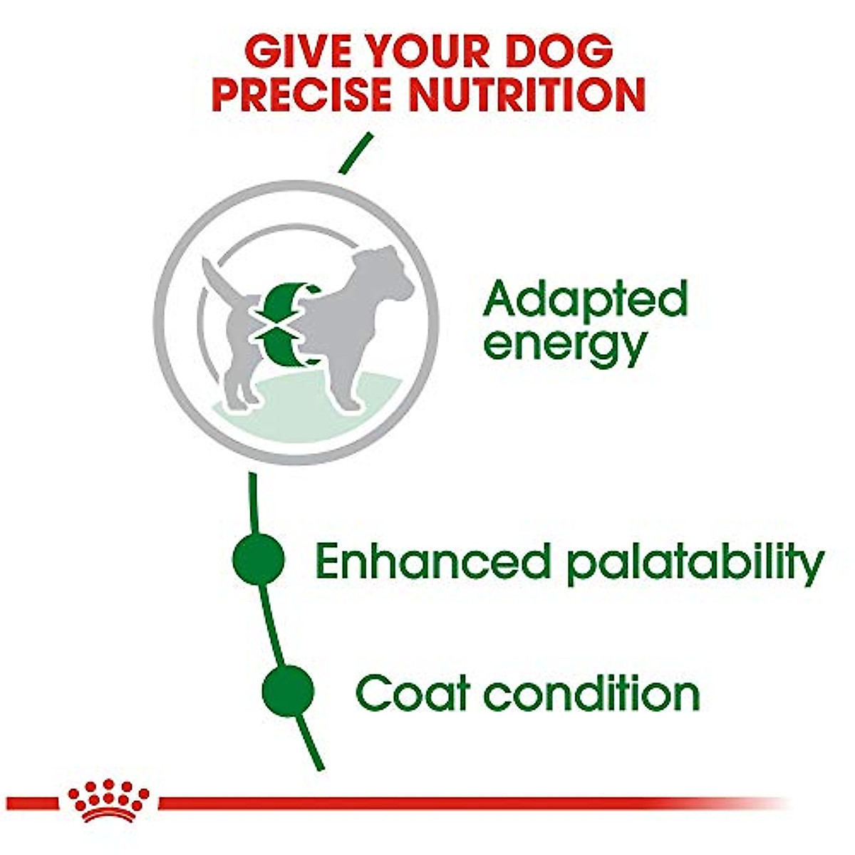 Royal Canin Small Breed Adult Dry Dog Food, 14 lb bag