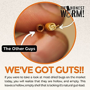 THE HONEST WORM Wild Bird Magnet | Premium Freeze Dried Mealworms | Living Sight Attractant | Ethically Sourced Natural Organic Yellow Worms | High Protein Treats for Birds & Exotic Pets | (7oz)