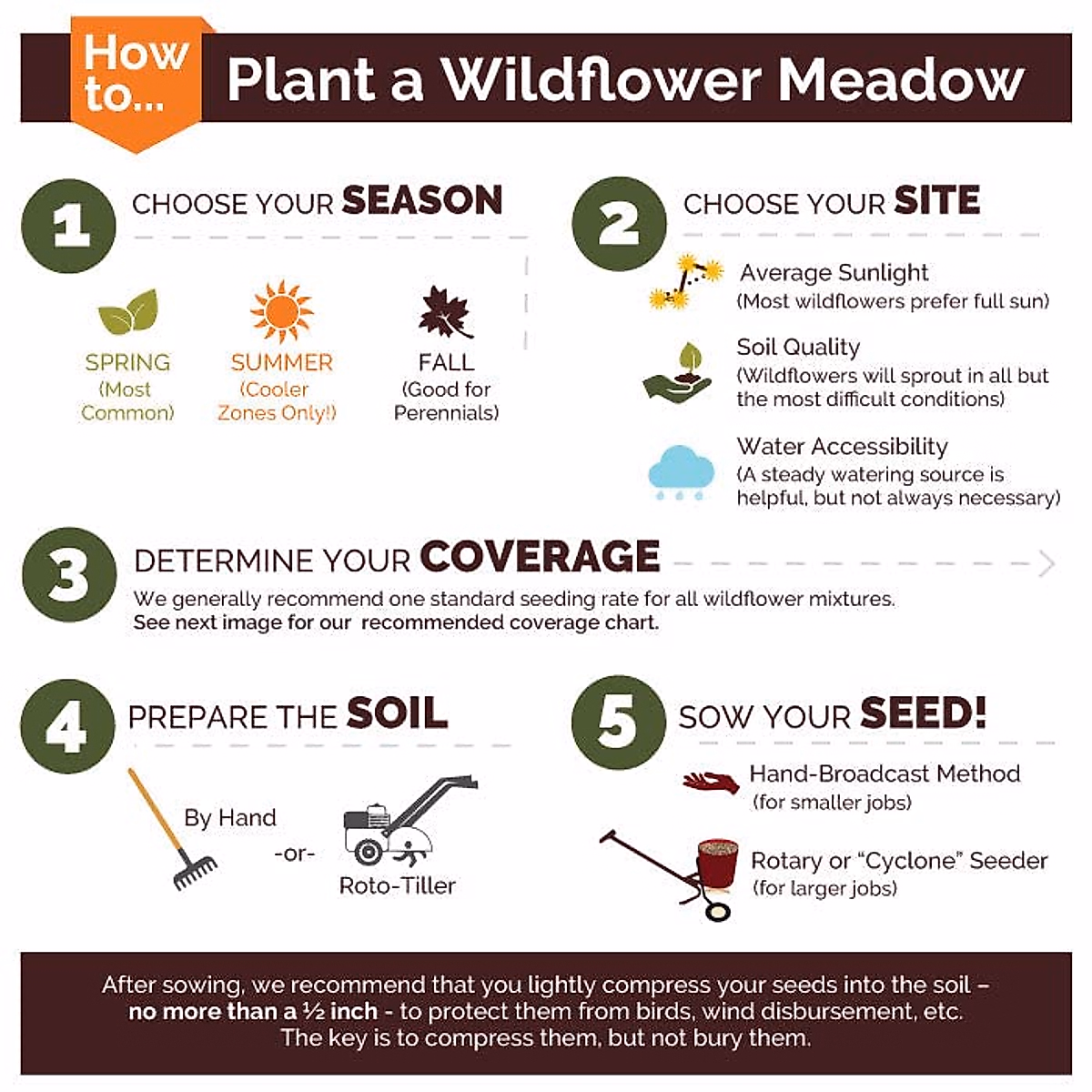 Southwest Wildflower Seed Mix - 1/4 Pound - Mixed Wildflower Seeds, Attracts Bees, Attracts Butterflies, Attracts Hummingbirds, Attracts Pollinators, Easy to Grow & Maintain, Cut Flower Garden