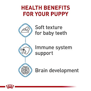 Royal Canin Size Health Nutrition Small Puppy Thin Slices in Gravy Wet Dog Food, 5.1 oz 24-Pack