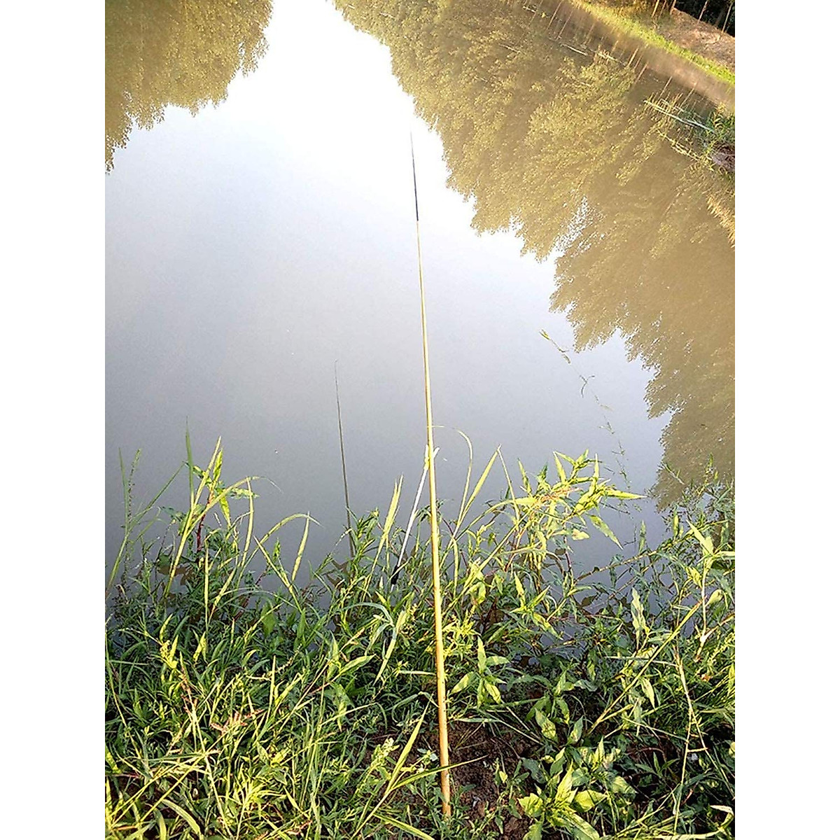 XMHF Traveling Fishing Rod 7 Sections Telescopic Pole Retractable Angling Fishing Pole Rod 1.9M Length