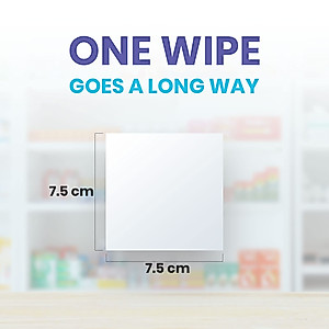 Care Touch Flushable Wipes Kids & Adults - Wet Wipes for Men & Women - Individually Wrapped, Disposable Wet Wipes for Body, Toilet, Bathroom& More - 2 Packs of 40 (80 Individual Wipes, Travel Wipes)