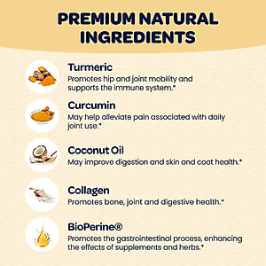 Ready Pet Go! Omega 3 & Turmeric Chews for Dogs | Hip & Joint Support | Fish Oil for Dog Shedding, Skin Allergy, Itch Relief | 90 Chews Each