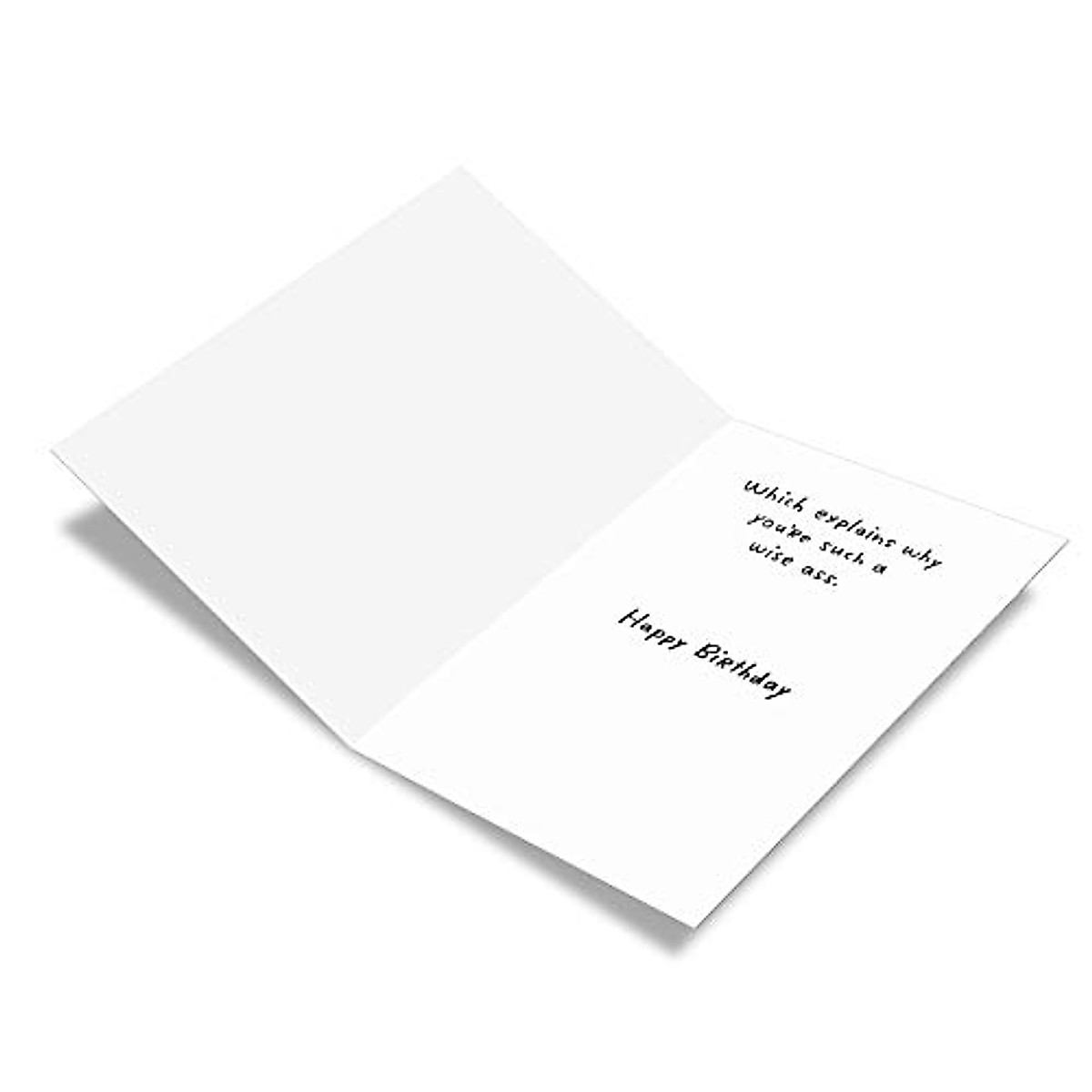 Nobleworks Funny Happy Birthday Note Card with Envelope (4.63 x 6.75 Inch) Age Wisdom 8576 (1 Card)