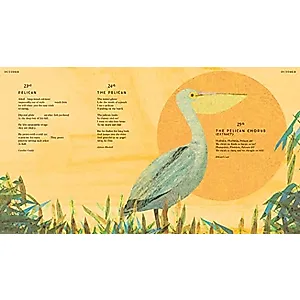 Tiger, Tiger, Burning Bright!: An Animal Poem for Each Day of the Year