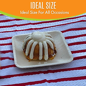 Raj Eco Compostable Palm Leaf Plates Like Bamboo Plates Disposable - 6 Inch Square 50 Party Plates, Natural Wooden, Eco-Friendly, Fancy Biodegradable & Disposable Dessert Appetizer Plates