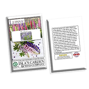 Riverbank Lupine Flower Seeds, 100+ Heirloom Seeds Per Packet, (Isla's Garden Seeds), Botanical Name: Lupinus rivularis, Non GMO Seeds
