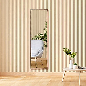 PETAFLOP 14x48 Inch Full Length Mirror Wall Mounted Rose Gold and Silver