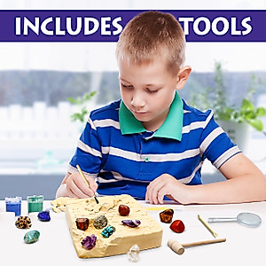 DANCING BEAR Gem Dig Kit - Excavate 16 Gems & Crystals Including Arrowheads, Quartz, Amethyst - STEM Education Gift Set for Kids