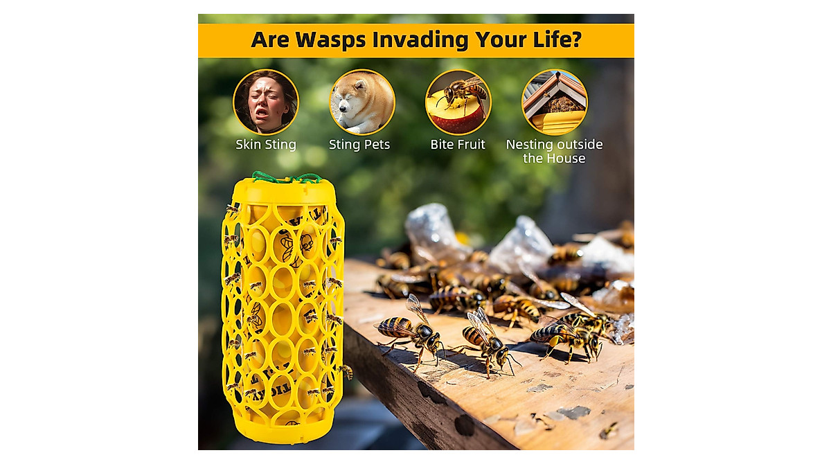 Effective Wasp Trap for Outdoor Use | Reusable & Safe Pest Control