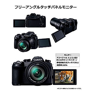 Panasonic Lumix 1.0-inch Sensor Mounted Optical 16x Zoom 4K Video corresponding DC-FZ1000M2?Japan Import