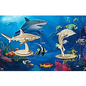 3D Wooden Sea Animal Puzzle - 6 Piece Set Wood Sea Animals Skeleton Assembly Model Kits - Wooden Crafts DIY Brain Teaser Puzzle - STEM Toys Gifts for Kids and Adults Teens Boys Girls