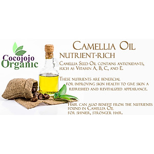 Dr Joe Lab Japanese Camellia Seed Oil - Pure, Cold Pressed, Non-GMO Carrier - 8 oz - for Skin, Hair, Nails, Body, Facial Hair - Hydrating Moisturizing Vegan Nourishing - Packaging May Vary