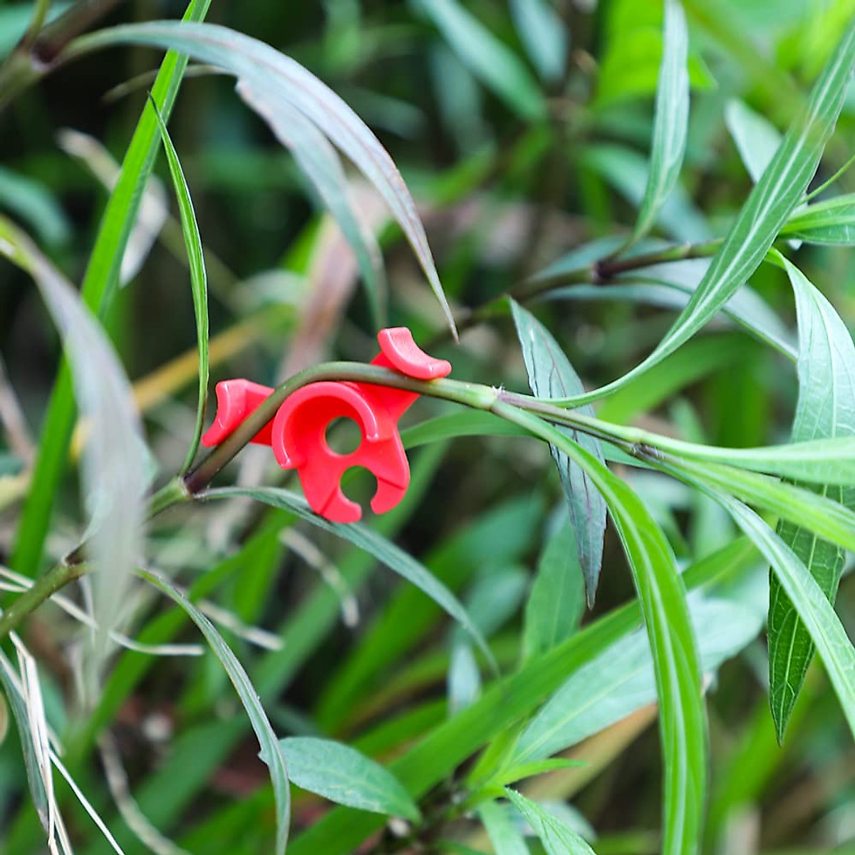 LucyPhy 30 Pack Plant Bender Angle Adjustable Plant Training Clips Low Stress Training Clips 90 Degrees Plant Stem(Circle Style,Red)