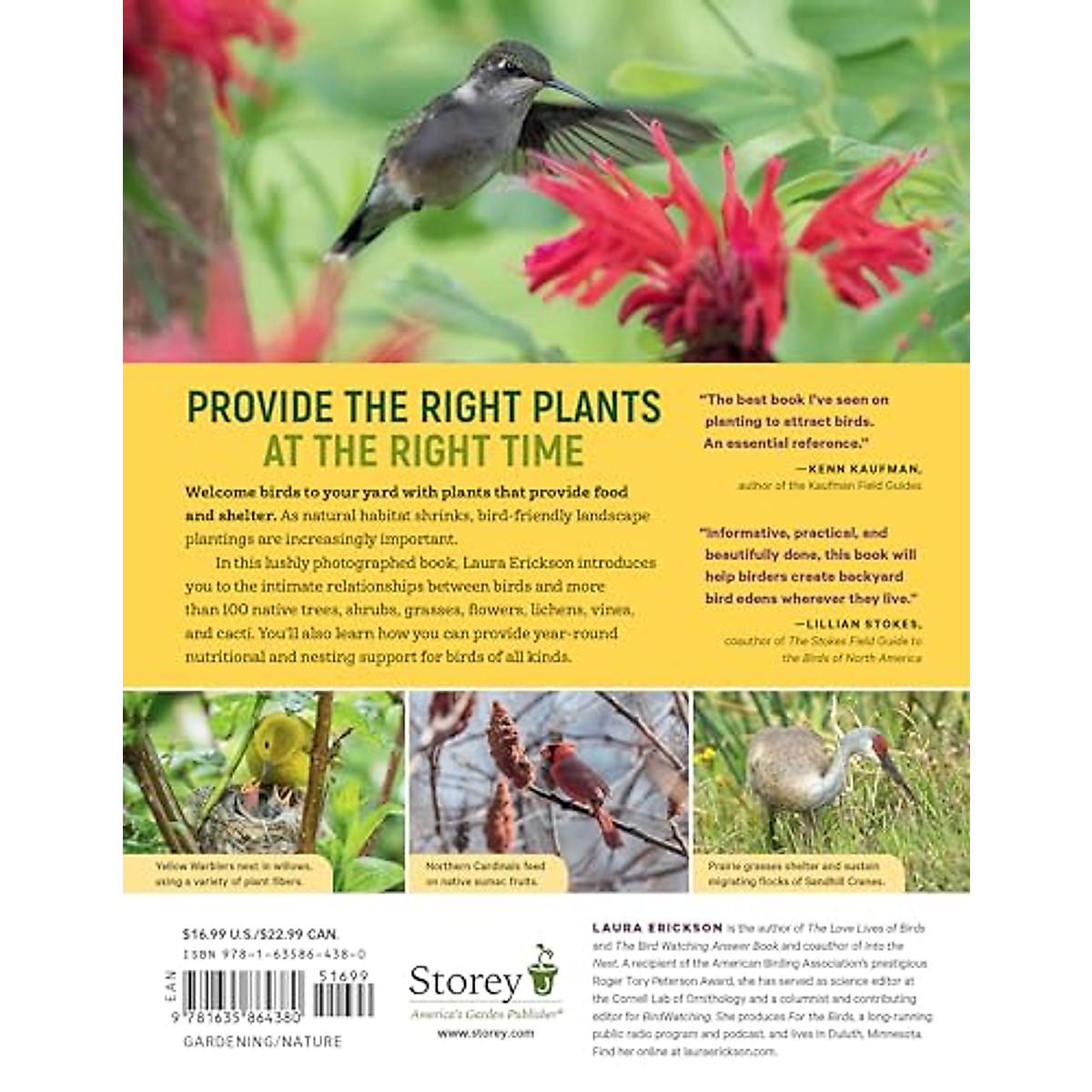 100 Plants to Feed the Birds: Turn Your Home Garden into a Healthy Bird Habitat