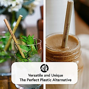 Ibambo 10 Pack Natural Bamboo Straws - Ecofriendly Reusable Straws, 8 inch Biodegradable Straws, Compostable Straws with Straw Cleaner, Bamboo Reusable Straws Alternative to Plastic Disposable Straws