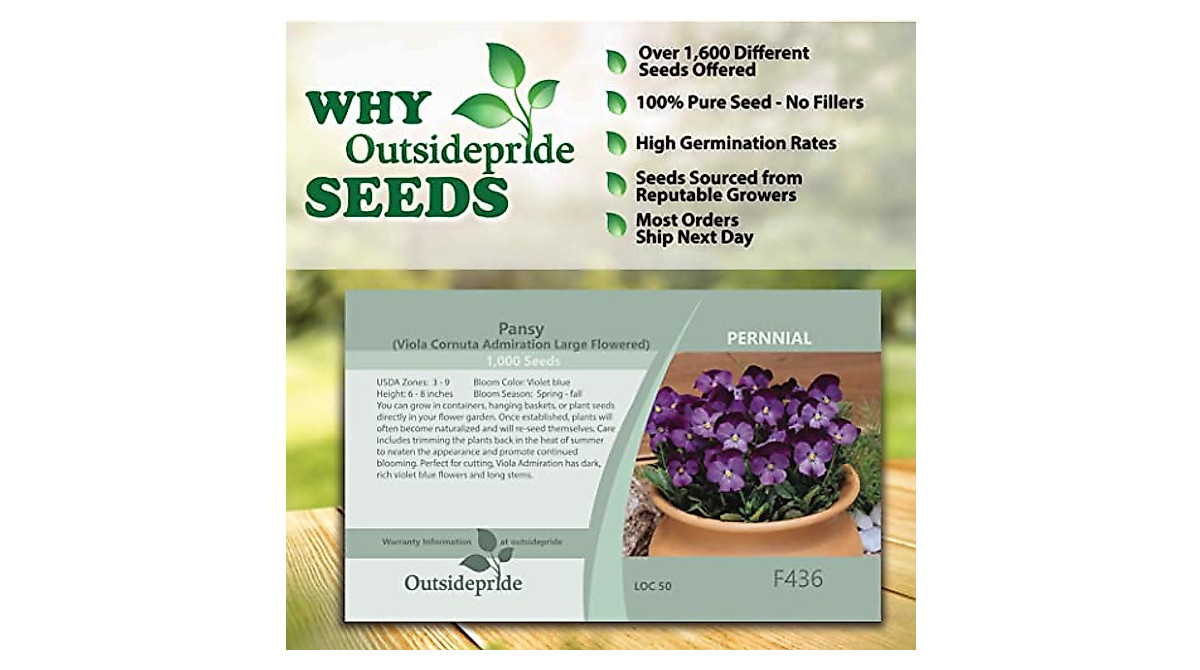 Buy Viola Admiration Seeds for Vibrant Garden Blooms | Outsidepride