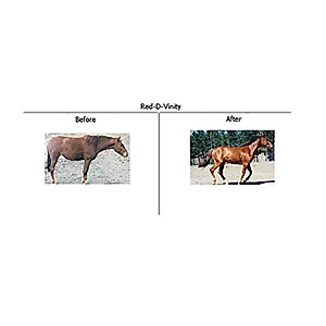 RED-D-VINITY Horse Coat Enhancing Supplement For Chestnuts, Sorrels, roans, Some Pintos, and Other Reds! 4lbs
