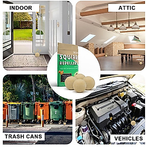 PREPELLITY Squirrel Repellent, Chipmunk Repellent for Plants, Squirrel Deterrent, Mint Squirrel Repellents for Attic, Keep Squirrels Away from Garden, Powerful Repellents Squirrels-8 Pack