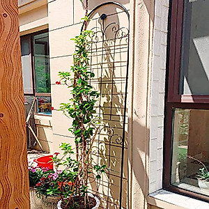 Tidyard 4 Pack Metal Garden Trellis for Climbing Plants Outdoor 86.7" x 19.7" Rustproof Plant Support Rose Trellis Netting Trellis Black