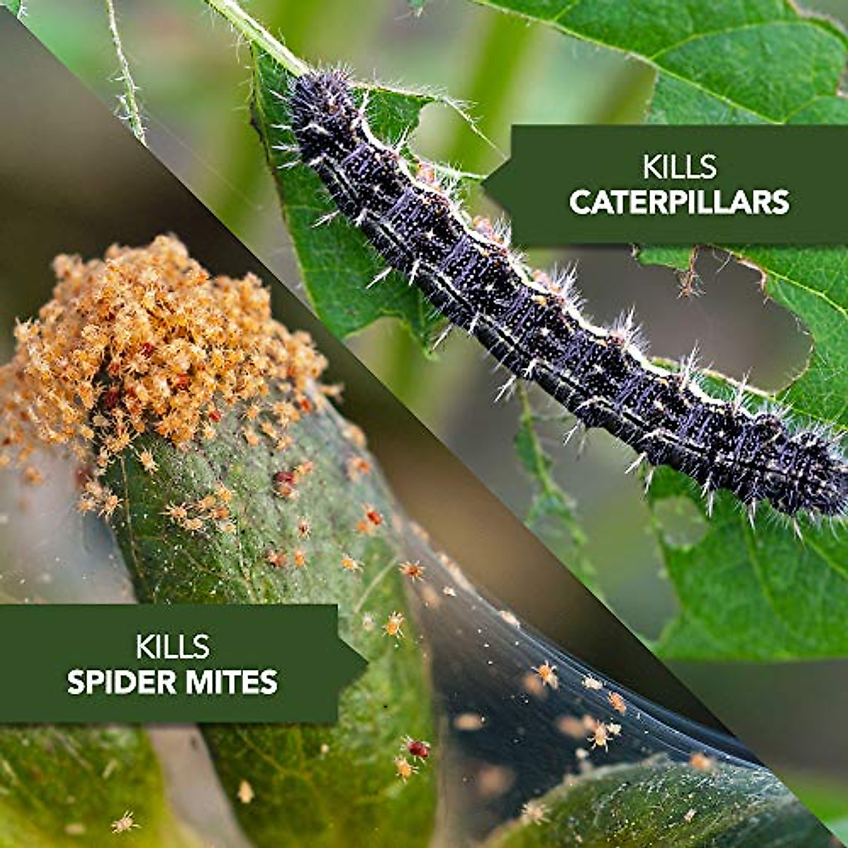 Natria 706230A Insecticidal Soap Organic Miticide, 24 oz, Ready-to-Use