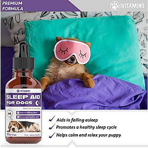 Dog Sleep Aid | Sleep Aid for Dogs | Promotes Healthy, Restful Sleep in Dogs | Melatonin for Dogs | | Dog Calming | Calming for Dogs | Dog Melatonin | Dog Anxiety Relief | 1 fl oz: Bacon Flavor