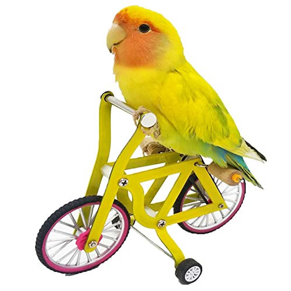 Bird Intelligence Training Toy，Parrot Puzzle Bicycle Toy for Small Medium Bird，Parrot Educational Table Top Trick Prop Toy，Bird Foot Talon Toy for African Grey Cockatoo Eclectus Conures，Yellow (Large)