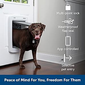PetSafe SmartDoor Connected Pet Door for Cats and Dogs Installation Adaptor, Large, ZAC19-17246
