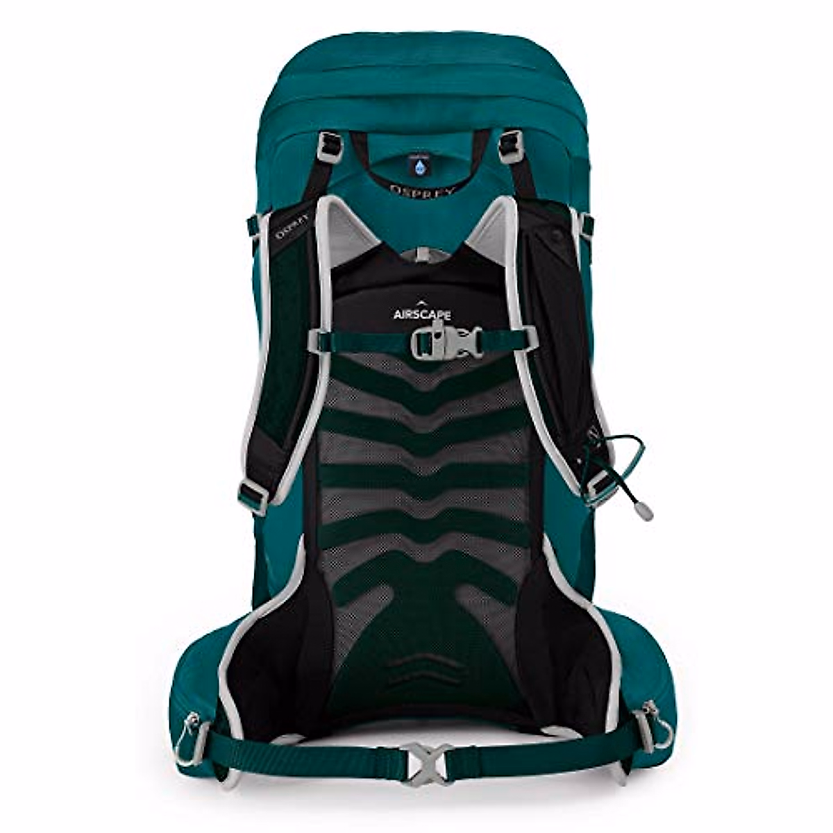 Osprey Tempest 34L Women's Hiking Backpack with Hipbelt, Jasper Green, WXS/S