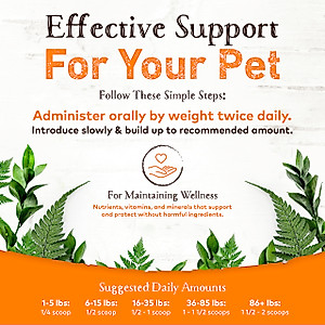 Earth Animal Stop Eating Stool Nutritional Supplement for Dogs & Cats, 8 oz. Container