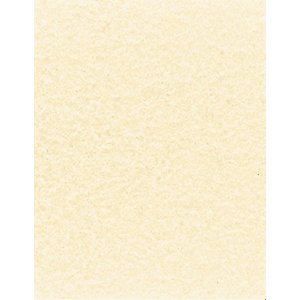 NextParch 8-1/2" x 11" (Letter Size) 65 lb. Parchment Cover Card Stock (Natural)