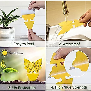 36 Pack Sticky Traps Plant Trap for Fungus Gnat, Fruit Fly Traps for Mosquito and Bug Indoor & Outdoor, Pest Insect Catcher Killer