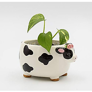 Cosmos Gifts Fine Ceramic Country Barnyard Cow Candy Dish Bowl/Plant Planter, 5" L