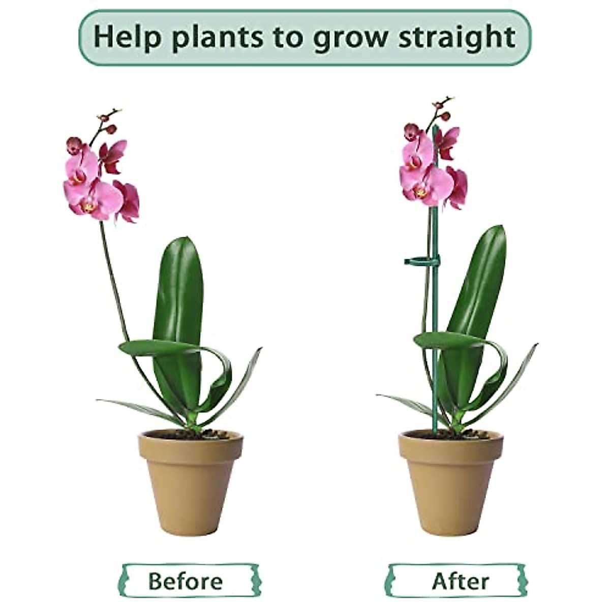 Plant Stakes Green Adjustable Garden Single Stem Plant Support Stakes,19Pcs Plant Support Sticks with Rings for Indoor and Outdoor Plants,Flowers,Tomatoes-16 inches