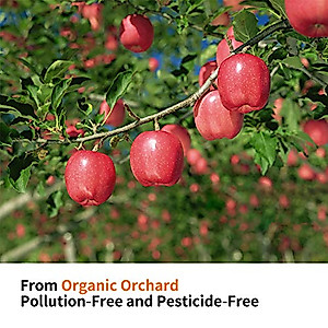 CHUHUAYUAN Natural Apple Sticks, 300g Treats Food for Small Animals, Chew Toys for Chinchilla Guinea Pigs Rabbit Squirrel Hamster Bunny